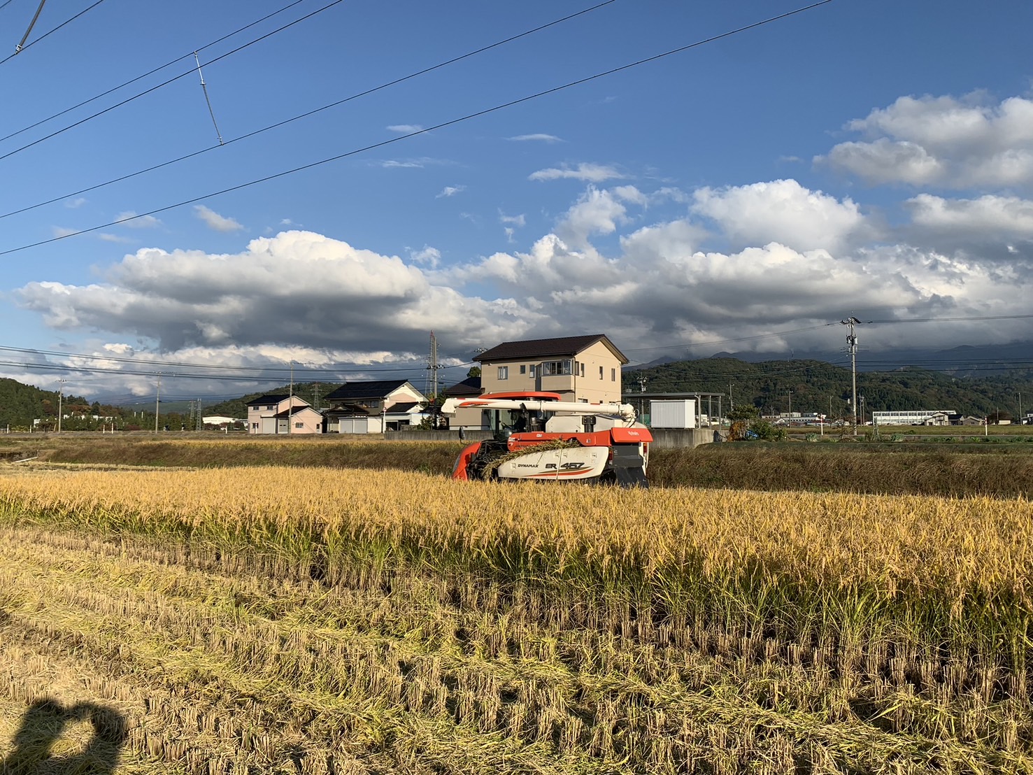 NOROSHI FARM JOURNAL 2024 10 | NOROSHI FARM のろしファーム | 富山県魚津市のお米農家